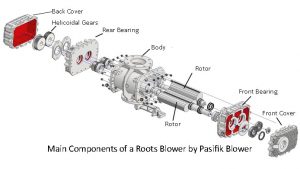 Components of Roots Blowers - Pasifik Blower